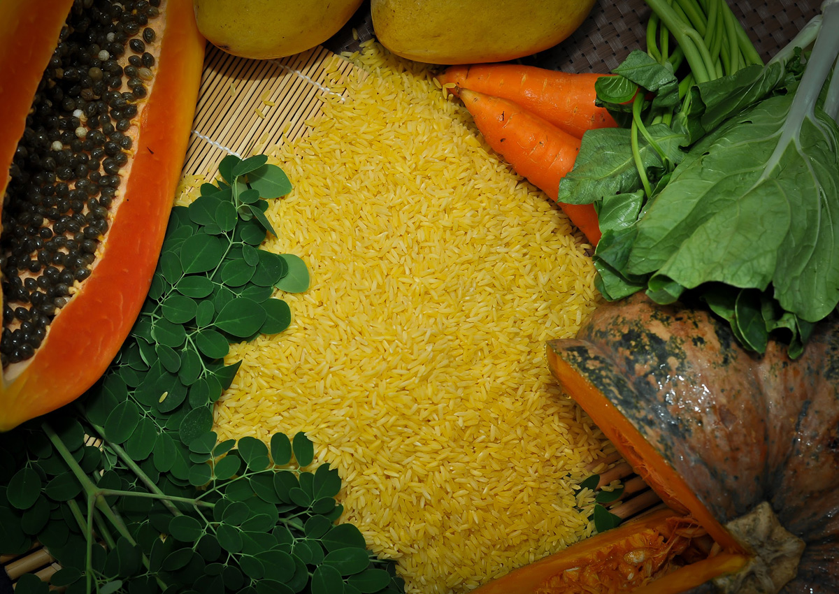 Biotech Crops Continue to Benefit Smallholder Farmers in Developing ...