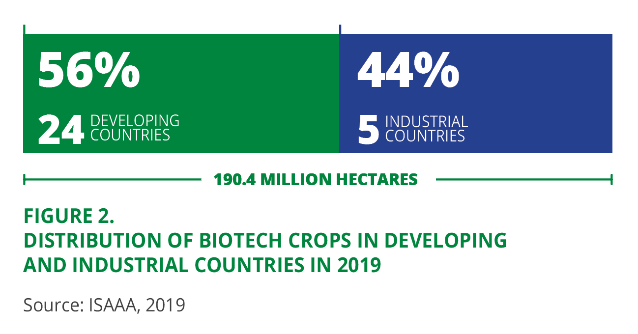 Developing Countries Beat Industrial Countries in Biotech Crop Adoption ...