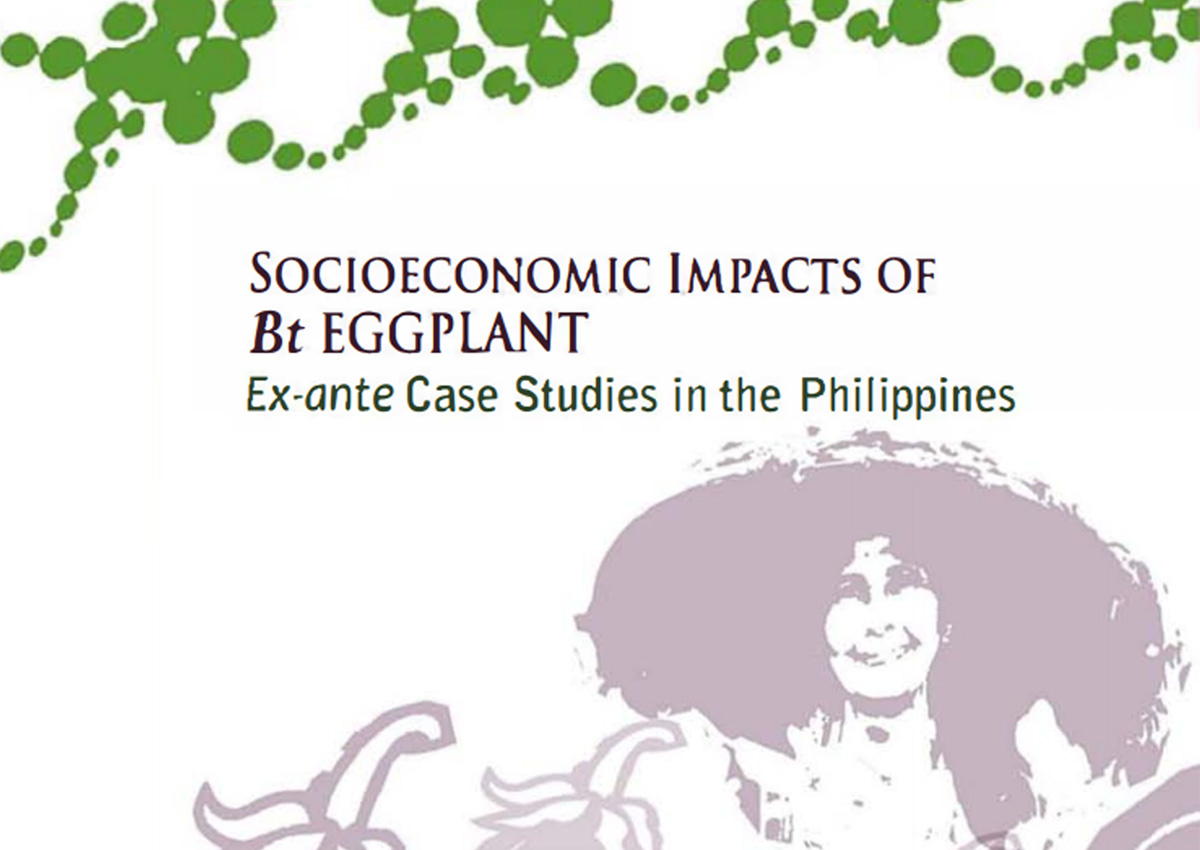 Ex-ante Case Studies Reveal Benefits of Bt Eggplant in the Philippines ...