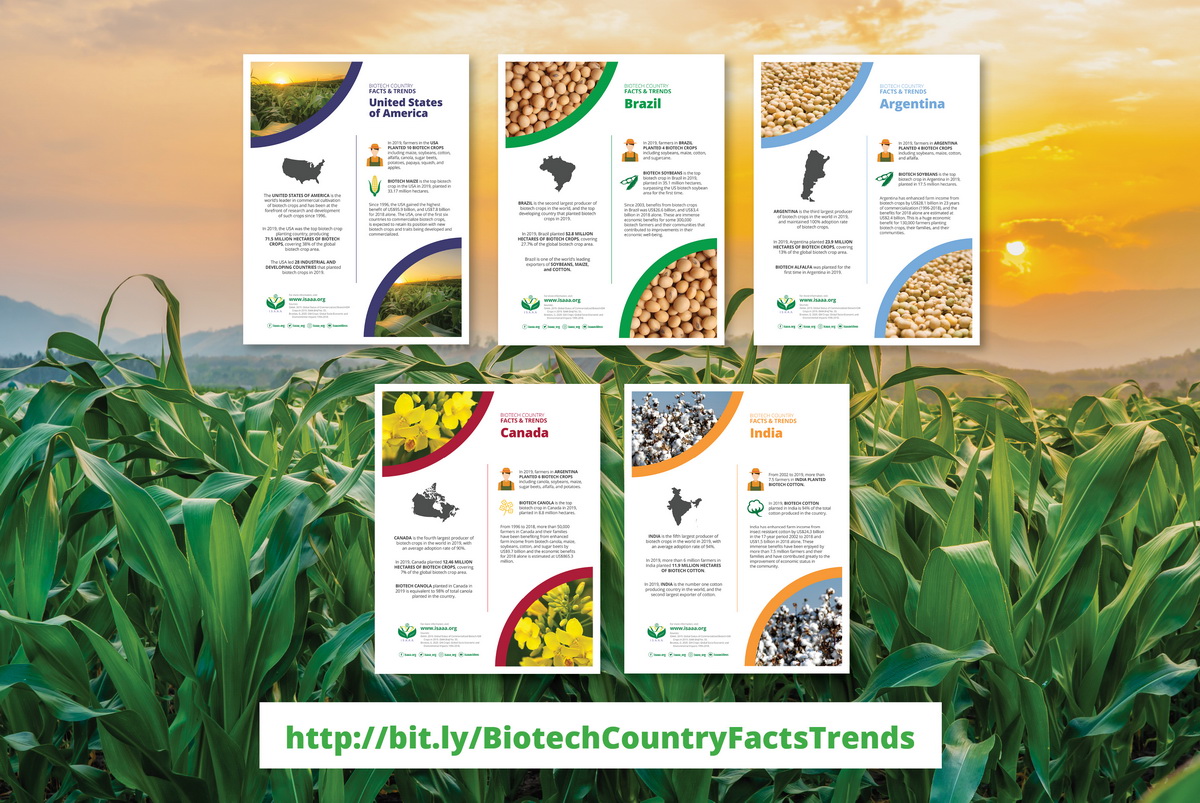 Five Countries Produce 91% of the World's Biotech Crops | Science ...