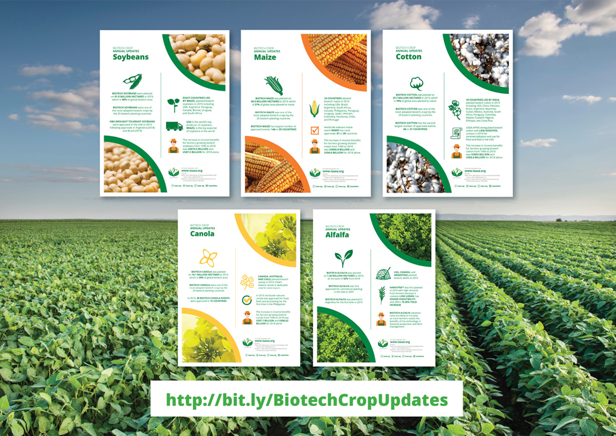 Top 5 Biotech Crops Occupy 99% of Global Biotech Crop Area in 2019 ...