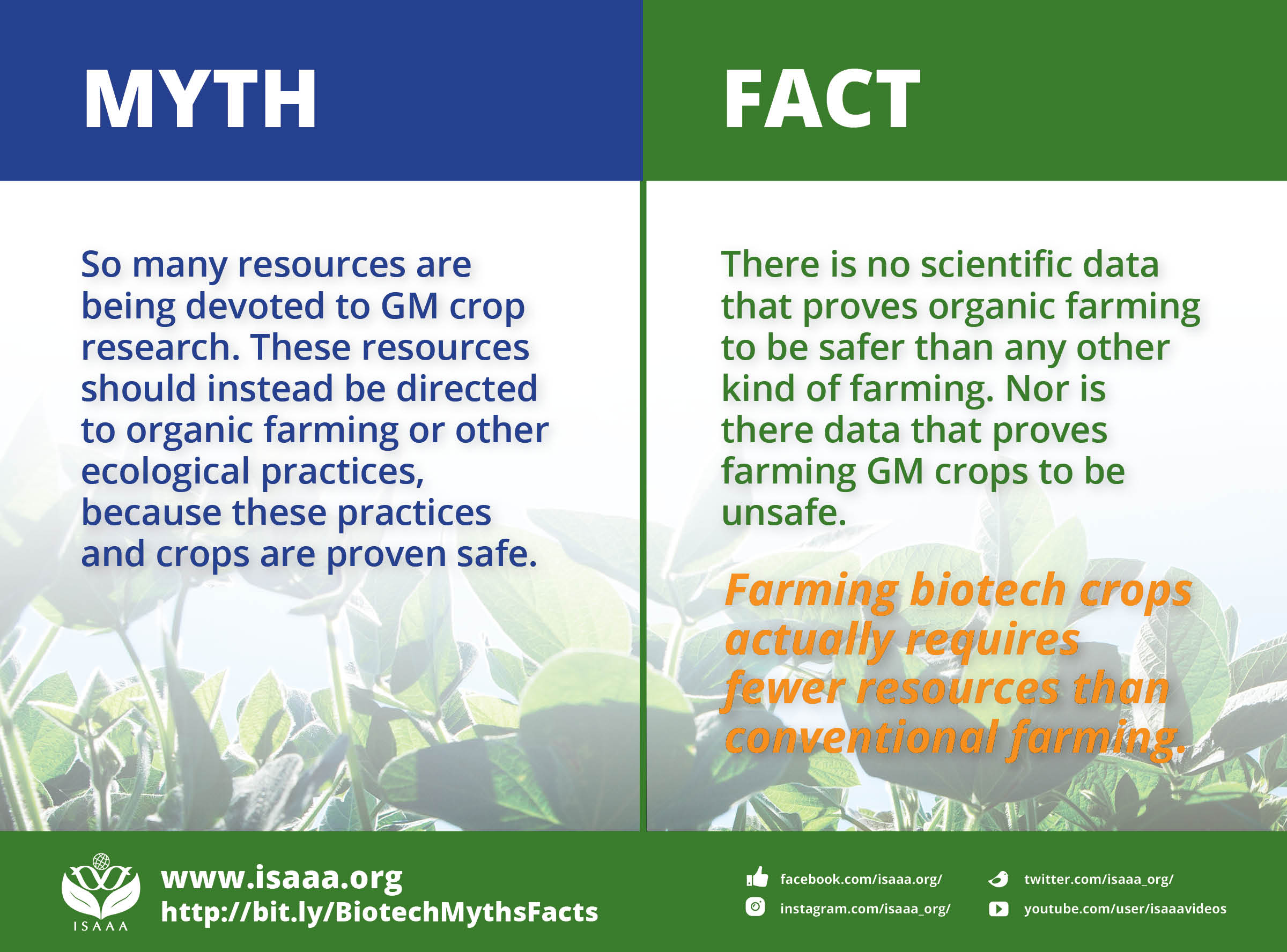 ISAAA Answers Top 10 Myths about Agricultural Biotechnology | Science ...