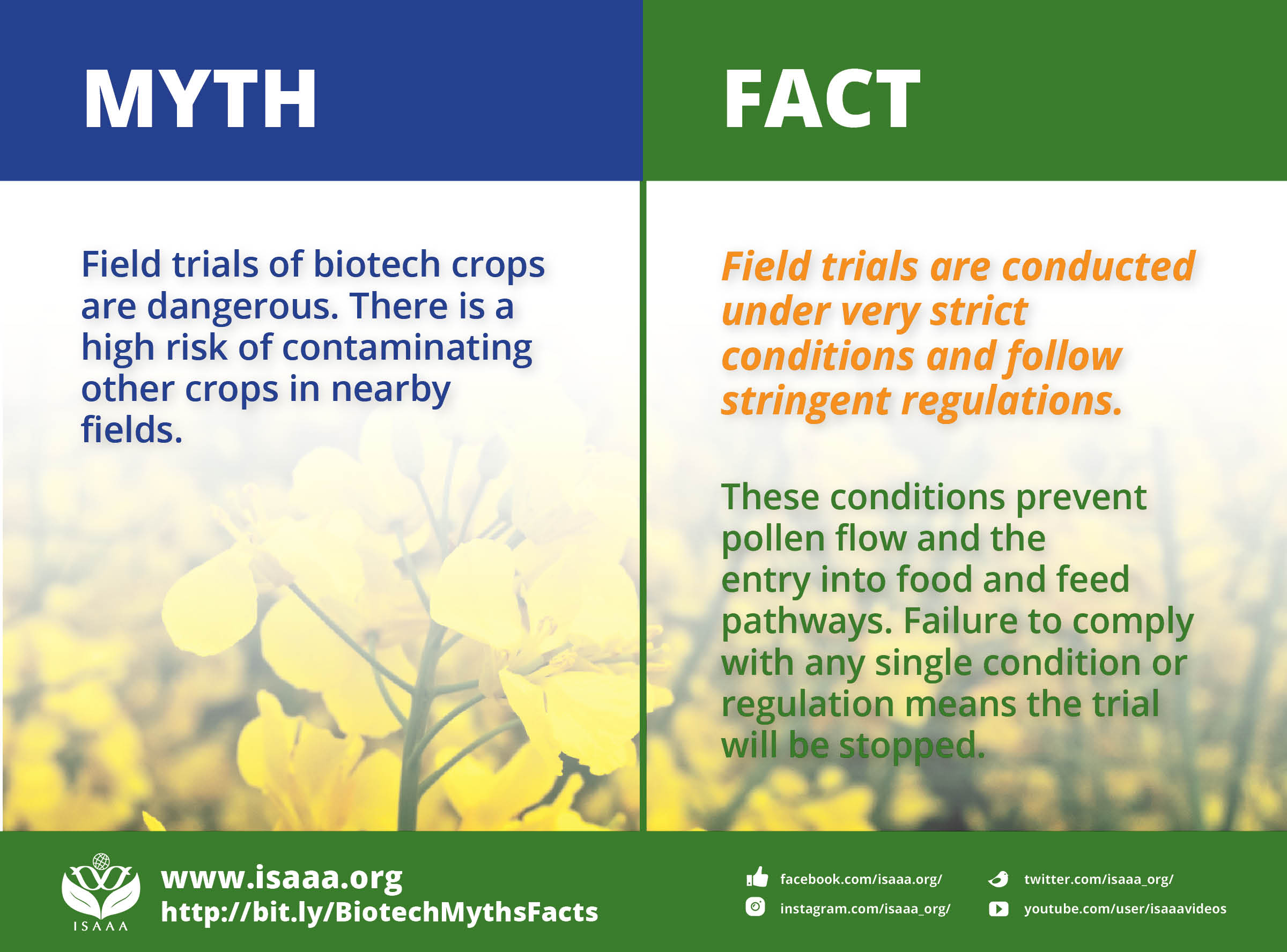 ISAAA Answers Top 10 Myths about Agricultural Biotechnology | Science ...