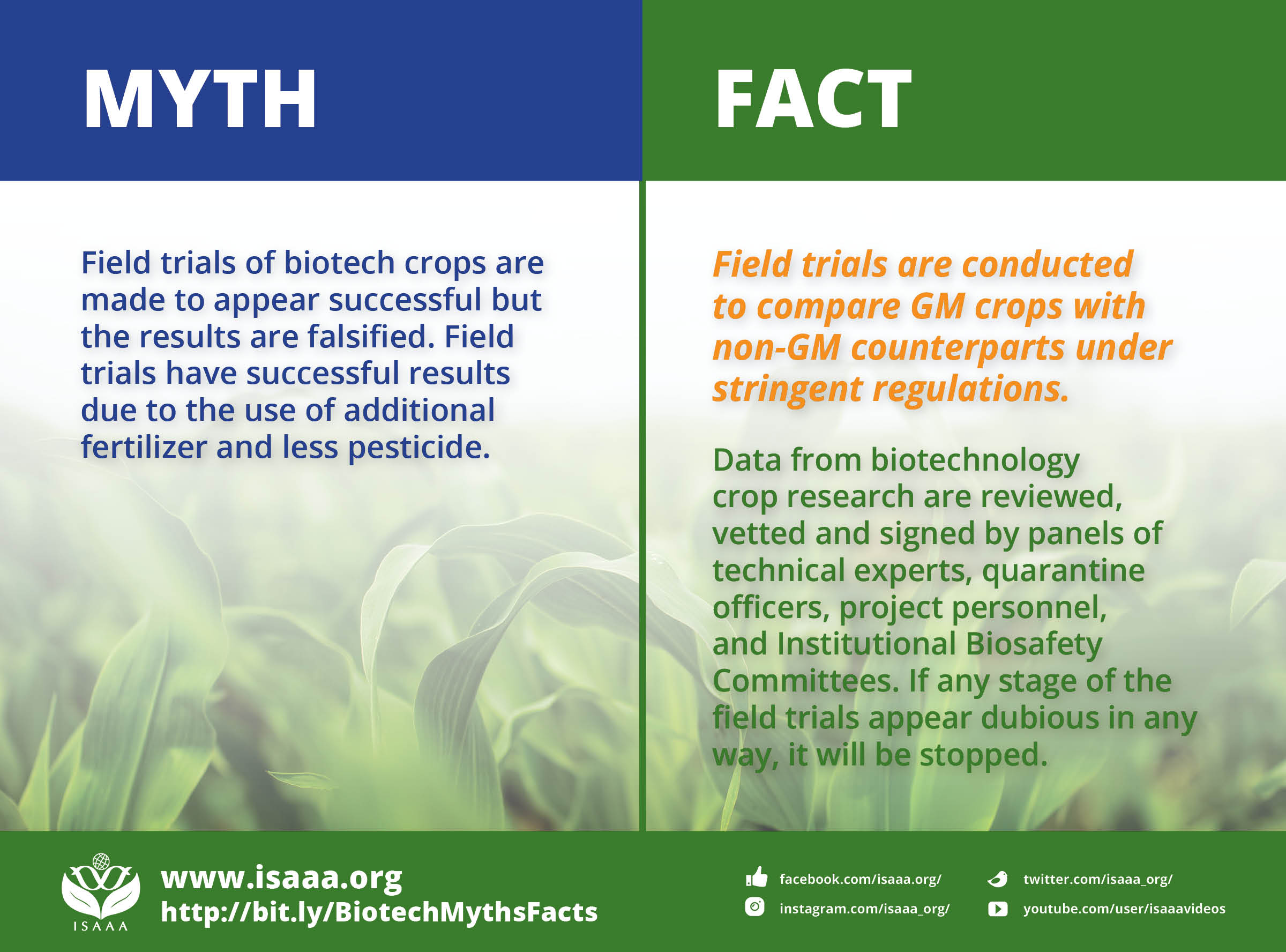 ISAAA Answers Top 10 Myths about Agricultural Biotechnology | Science ...