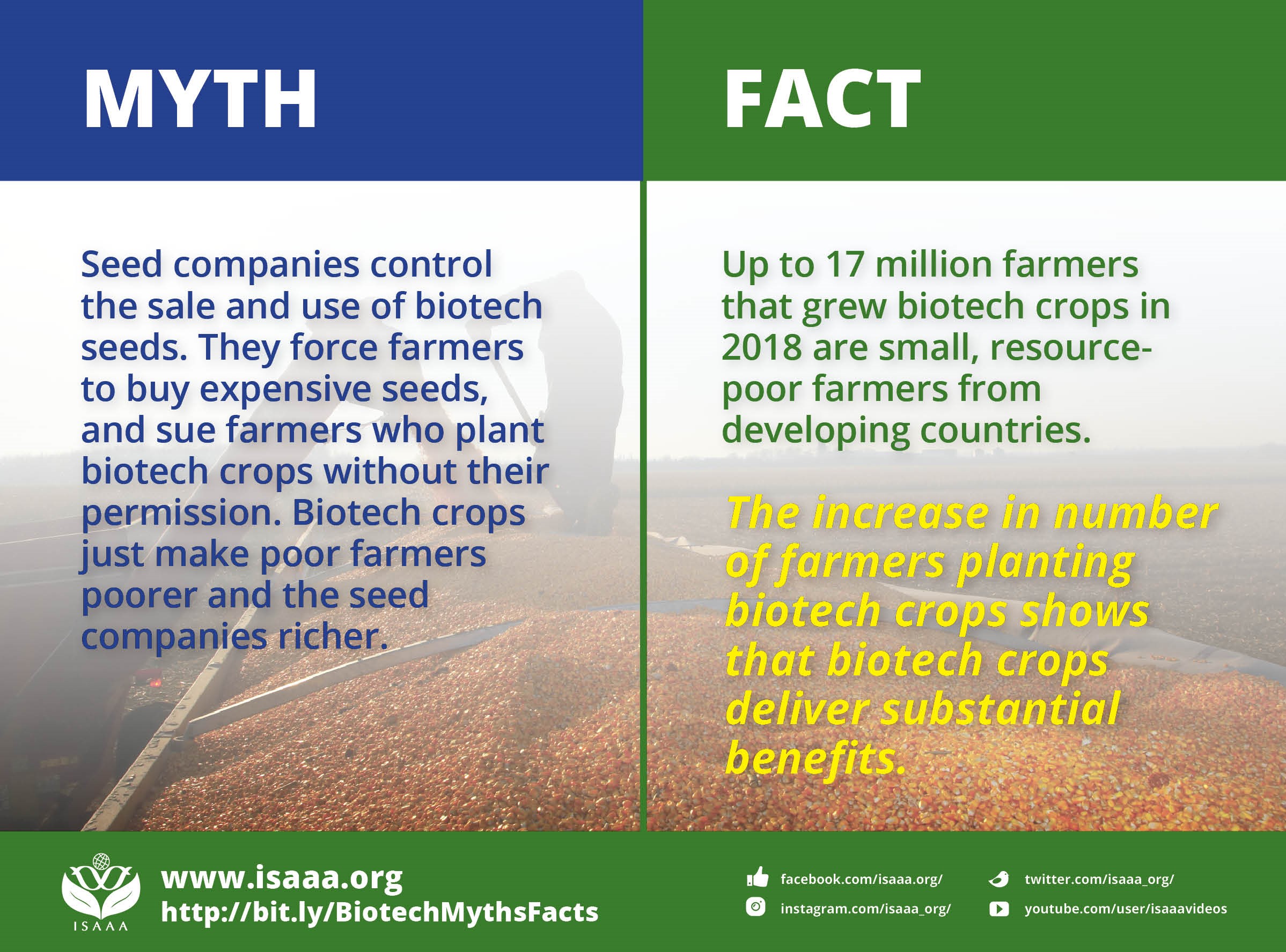 ISAAA Answers Top 10 Myths about Agricultural Biotechnology | Science ...